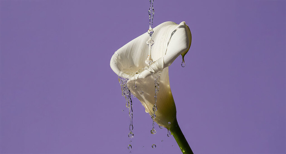 What to look for in a lubricant while you're pregnant
