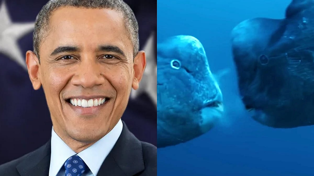 Barack Obama secures third Emmy win for Netflix docuseries Our Oceans