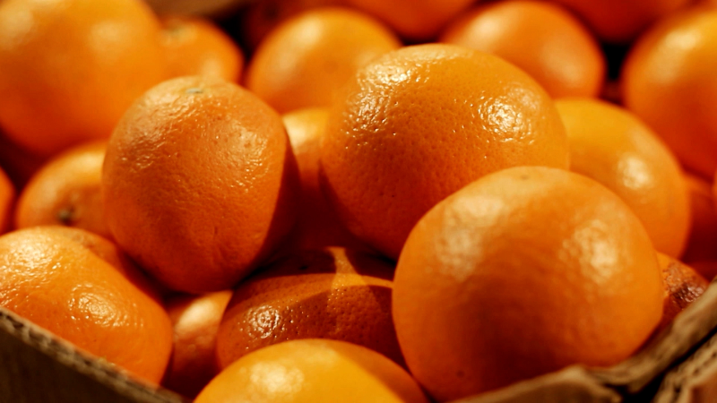 Biggest challenges facing Florida orange farmers
