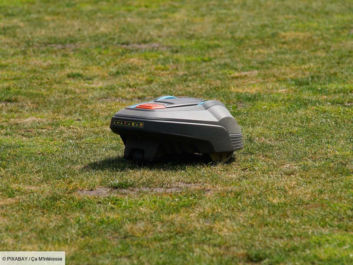 Gazon terne ou troué : voici les astuces naturelles pour bien regarnir ...