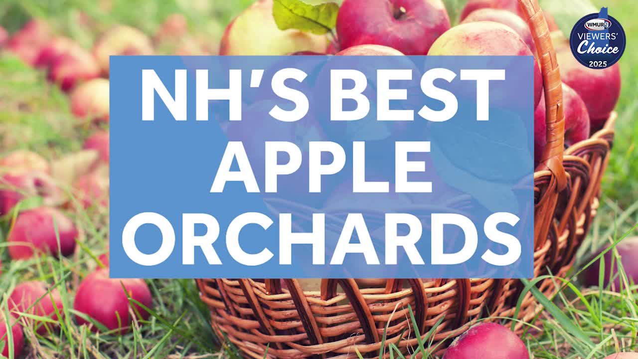 Viewers' Choice 2025: Best apple orchards in New Hampshire