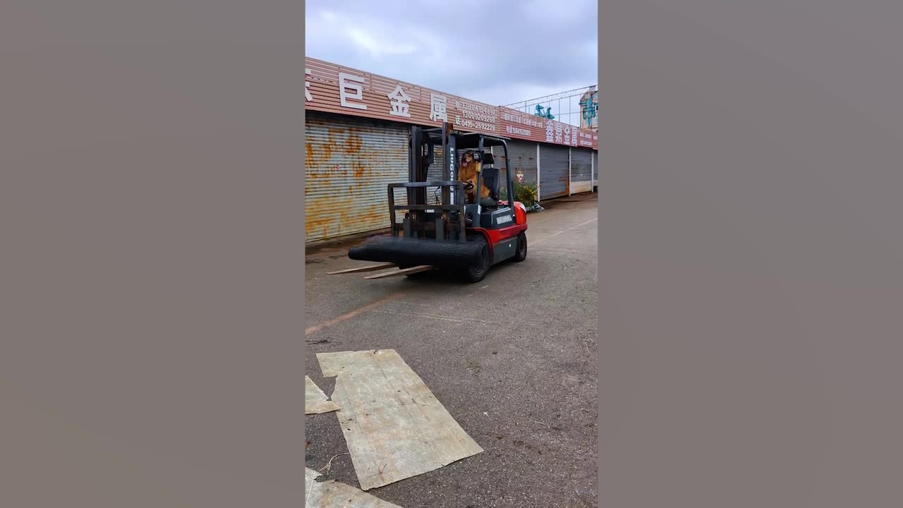 Golden Retriever shows off his forklift driving skills