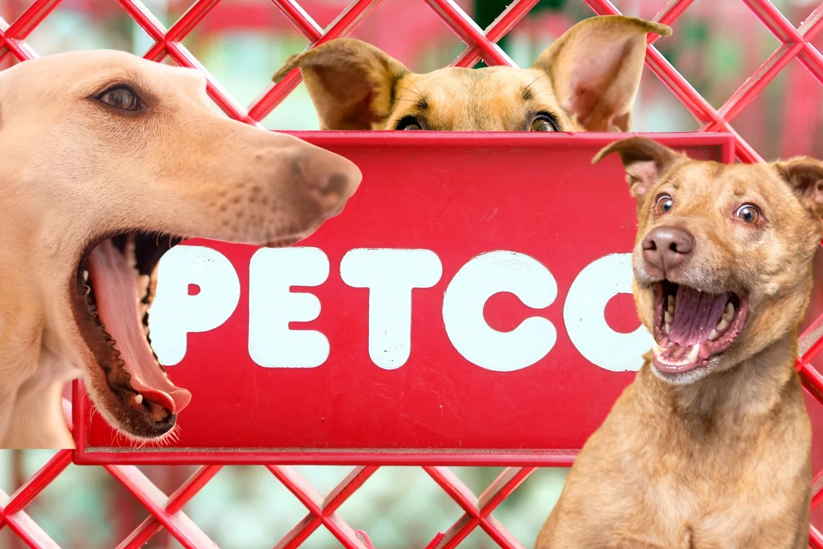 Petco Closing Locations Nationwide — The Bark Was Bigger Than the Bite