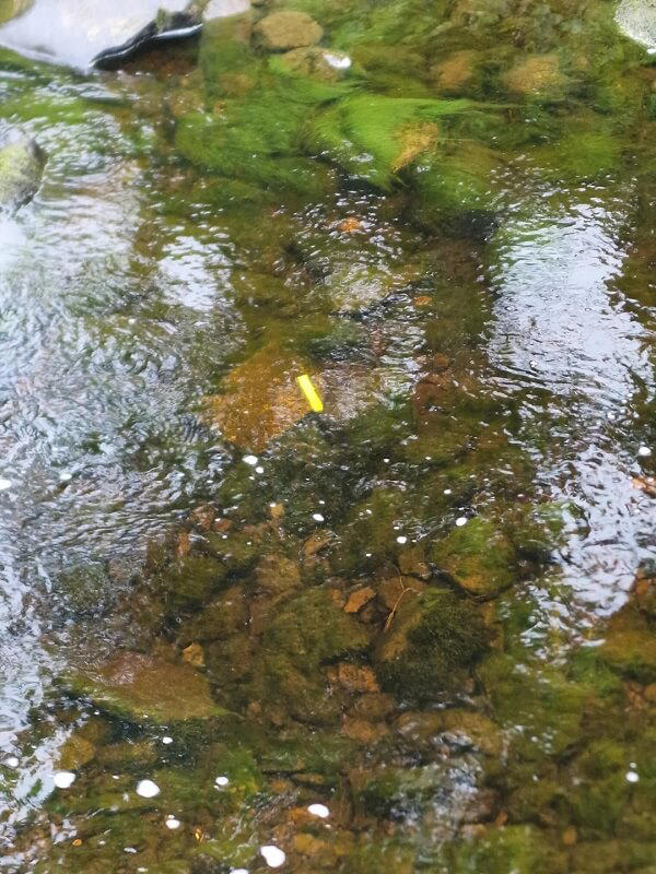 Passerby shares photo after spotting concerning item that was recently ...