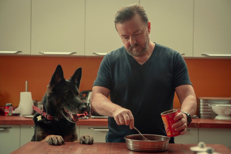 Netflix announces brand new Ricky Gervais comedy set to reunite After ...