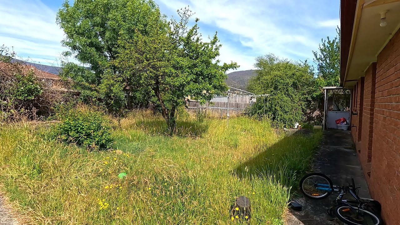 A free cleanup that changed everything!