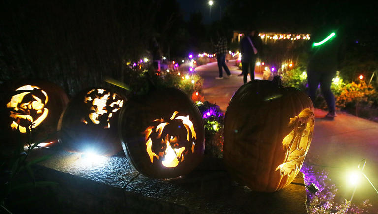 Reiman Gardens turns 30 with a Botanical Bash, featuring drones, music ...