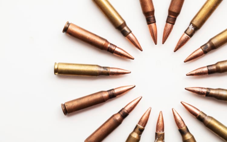 Top Modern Hunting Cartridges