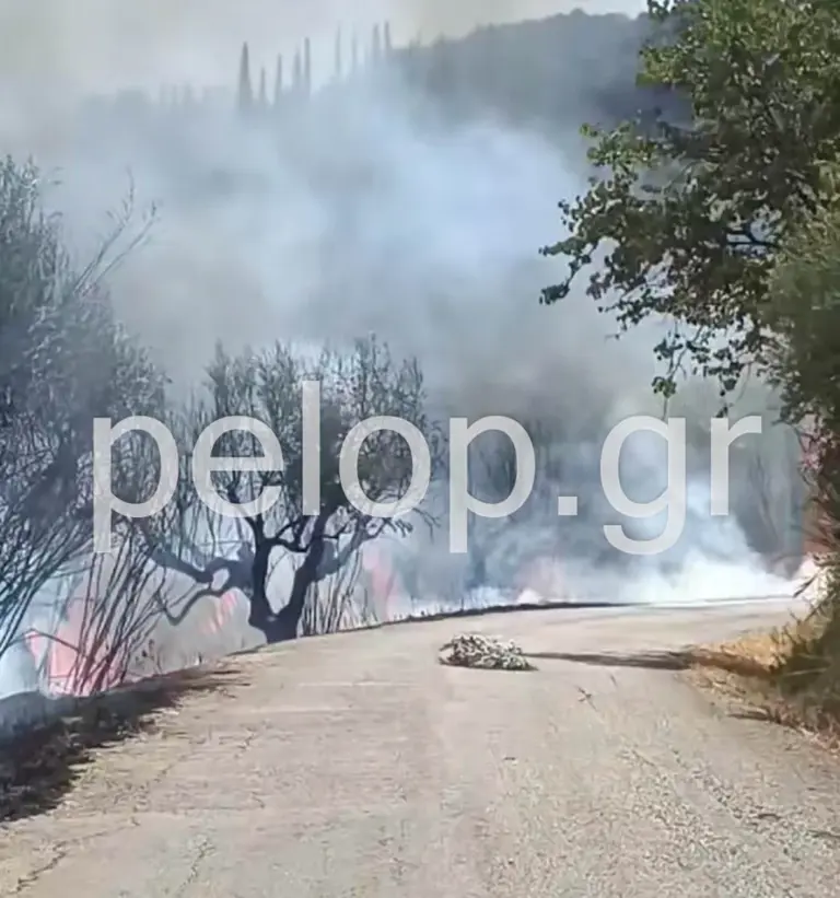 Βελτίωση της κατάστασης στην πυρκαγιά στην Αιγιάλεια, ποιοι οικισμοί ...