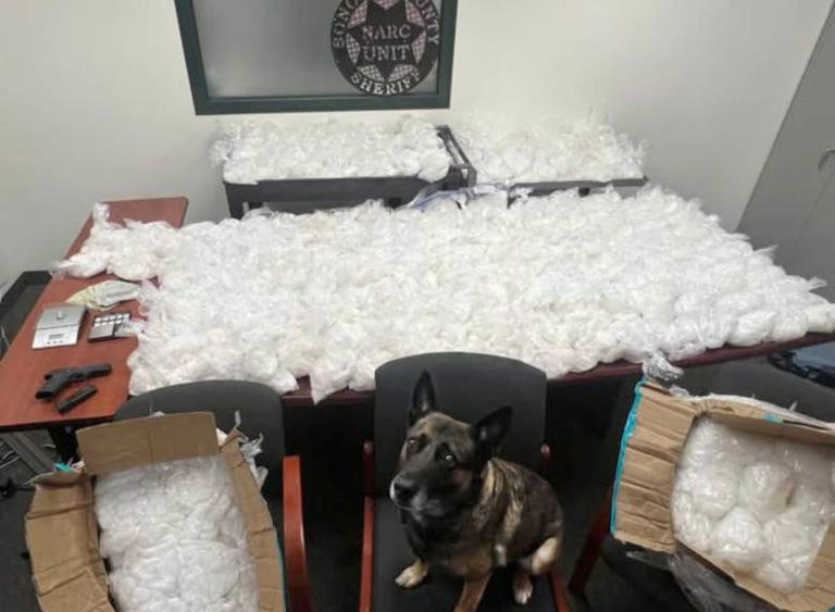 What does a quarter-ton of meth look like? Sonoma County Sheriff makes ...