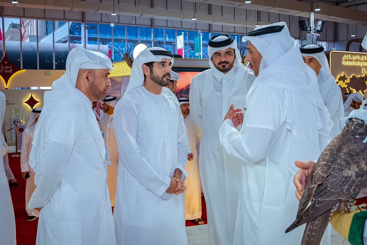 'UAE stands with Qatar': Sheikh Hamdan visits hunting and falcons ...
