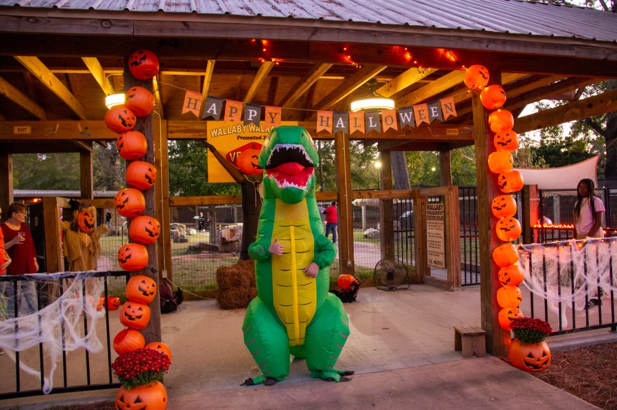 Enjoy a bright Halloween at Zoo Boo event
