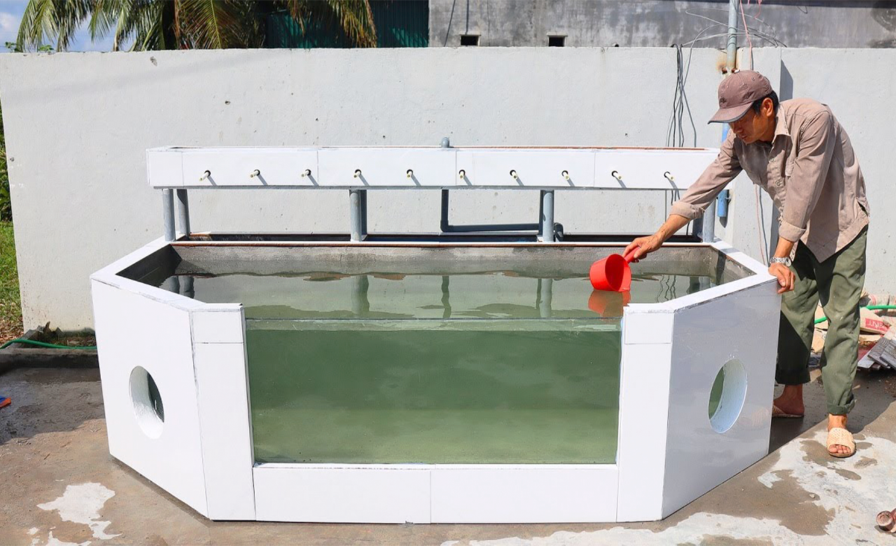 Make a unique fish tank from brick and cement and ceramic