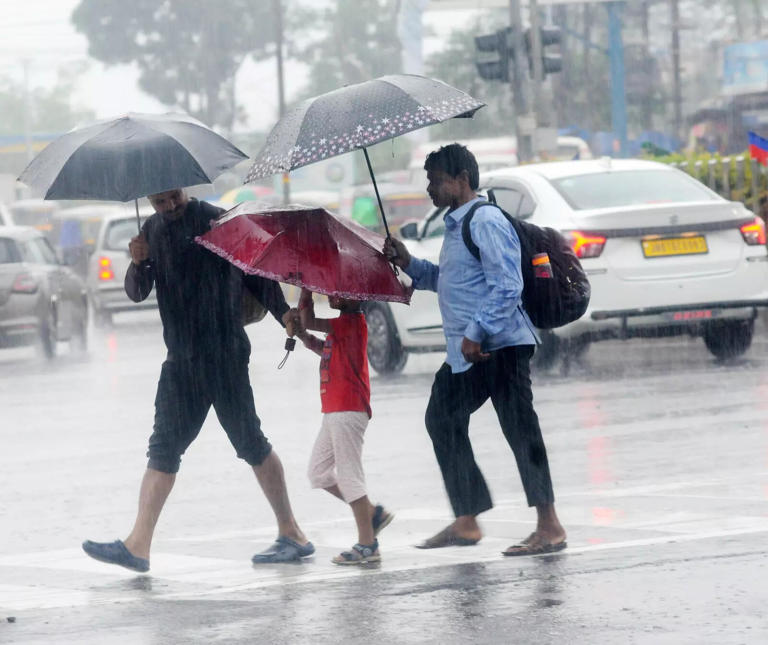 IMD predicts heavy rainfall, thunderstorm and lightning in 24 districts