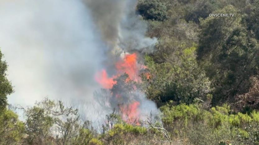 Deputies arrest arson suspect after brush fire erupts in Encinitas