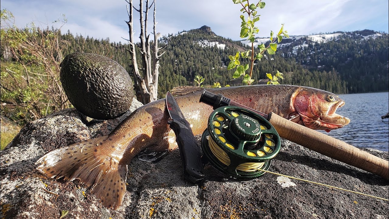 Big trout from a small stream — cooked right at camp
