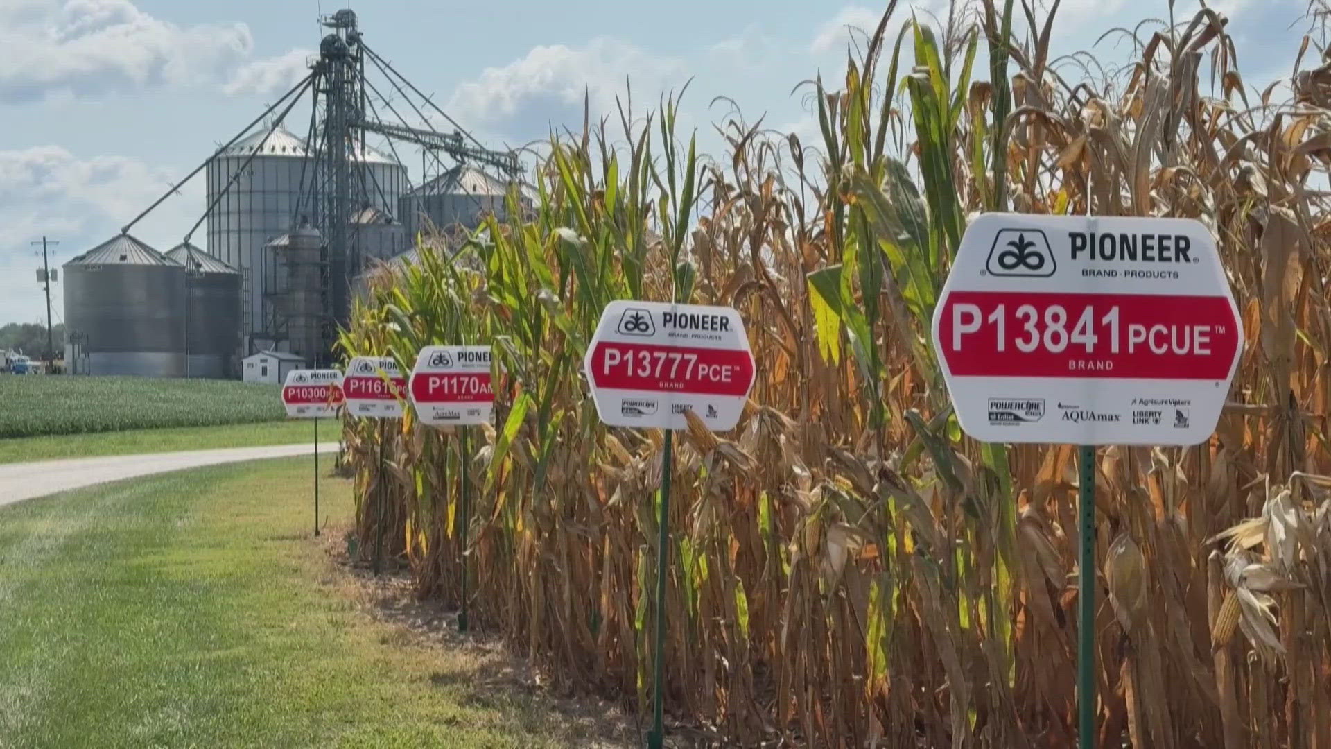 Kentucky farmers face major losses as drought impacts crops