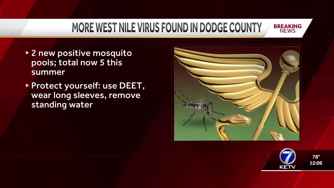 2 new mosquito pools test positive for West Nile in Dodge County