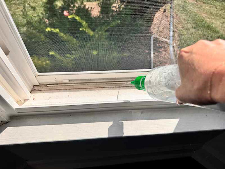 I Just Discovered the Most Ingenious Thing to Do with an Empty Sriracha Bottle, and I'll Never ...