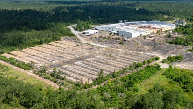 USA BioEnergy Secures Technology Partners for $2.8 Billion Texas Biofuel Plant