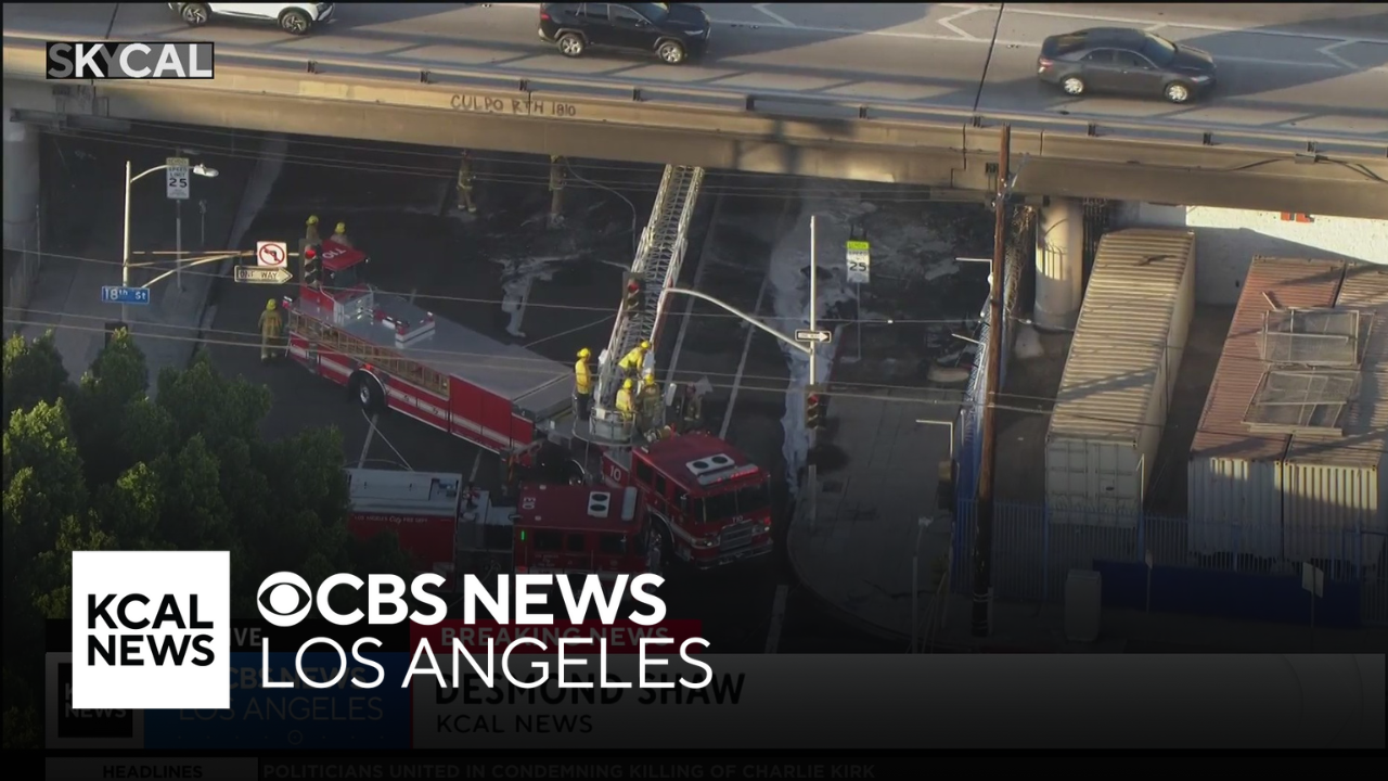 LAFD crews quickly extinguish fire burning underneath 10 Freeway overpass