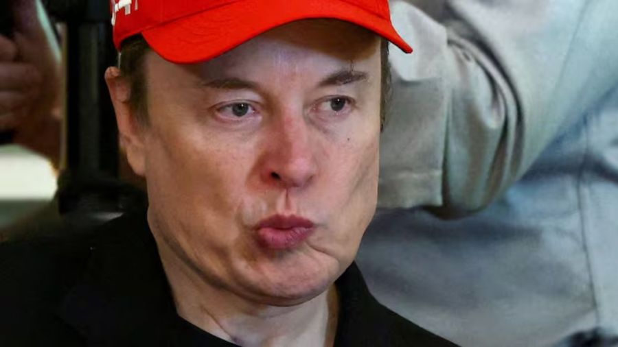 La historia de Elon Musk y Talulah Riley, la esposa que lo convenció de ...