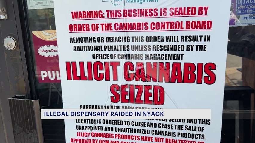 Padlocked weed shops: Raid of suspected illegal cannabis shop in ...