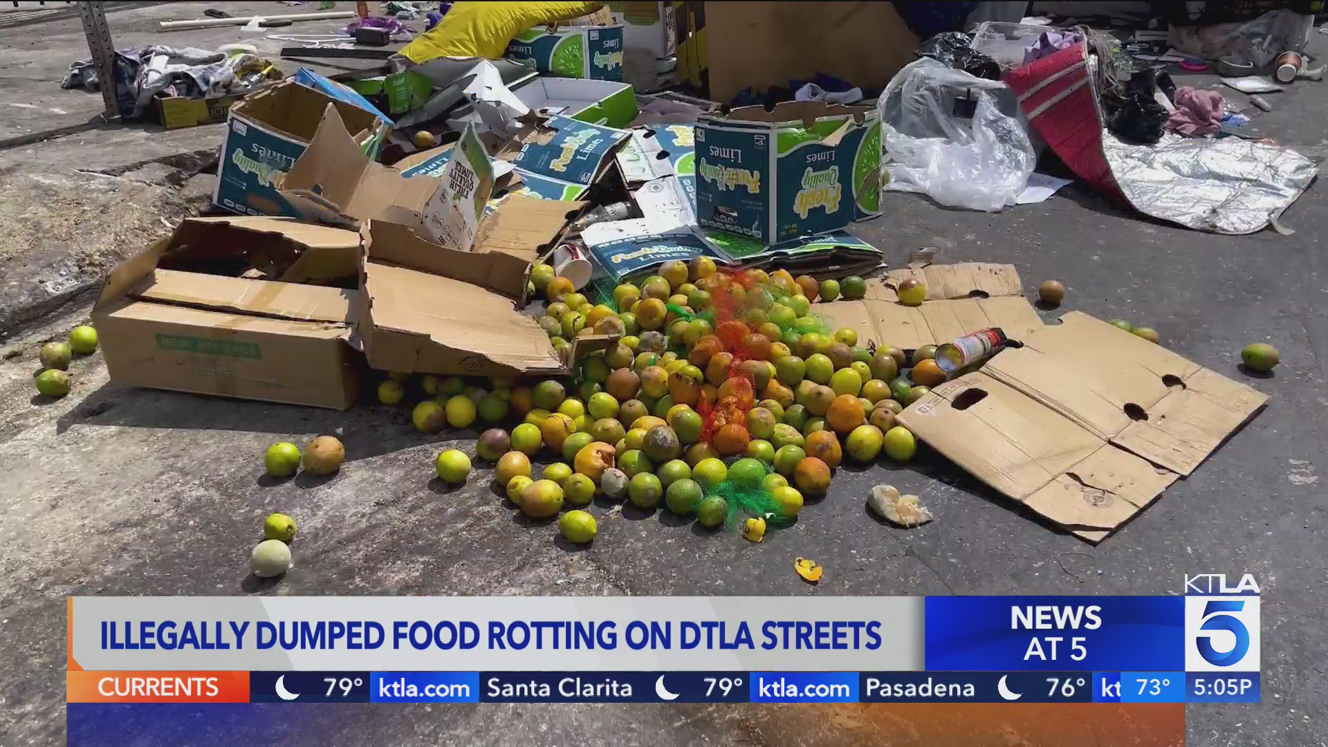Illegally dumped food, rotting produce overtaking downtown L.A. streets