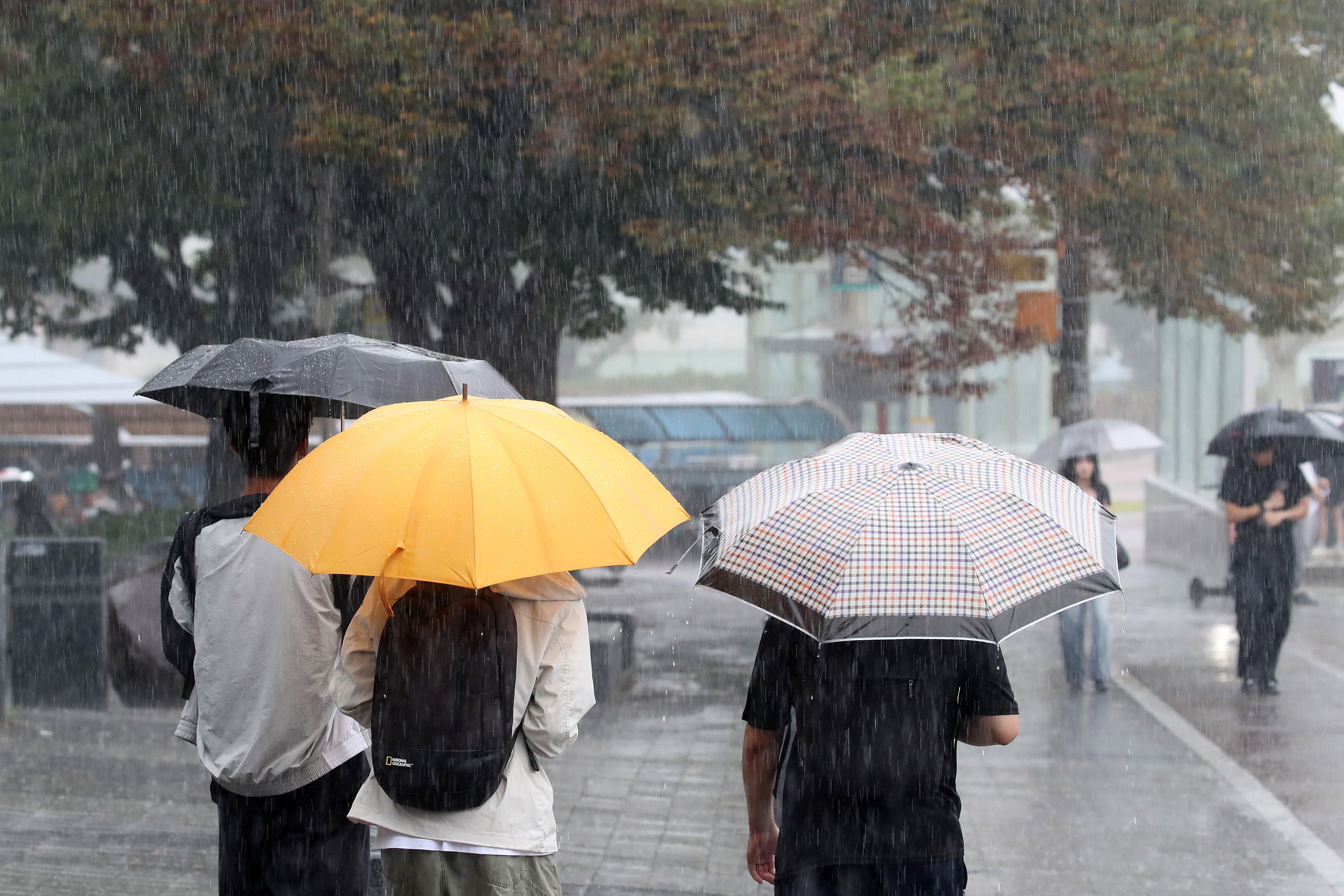 Heavy rain until 13th brings relief to drought-hit Gangneung