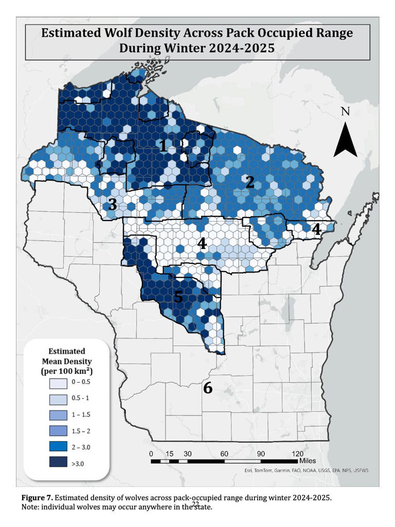 DNR releases updated Wisconsin wolf population estimate