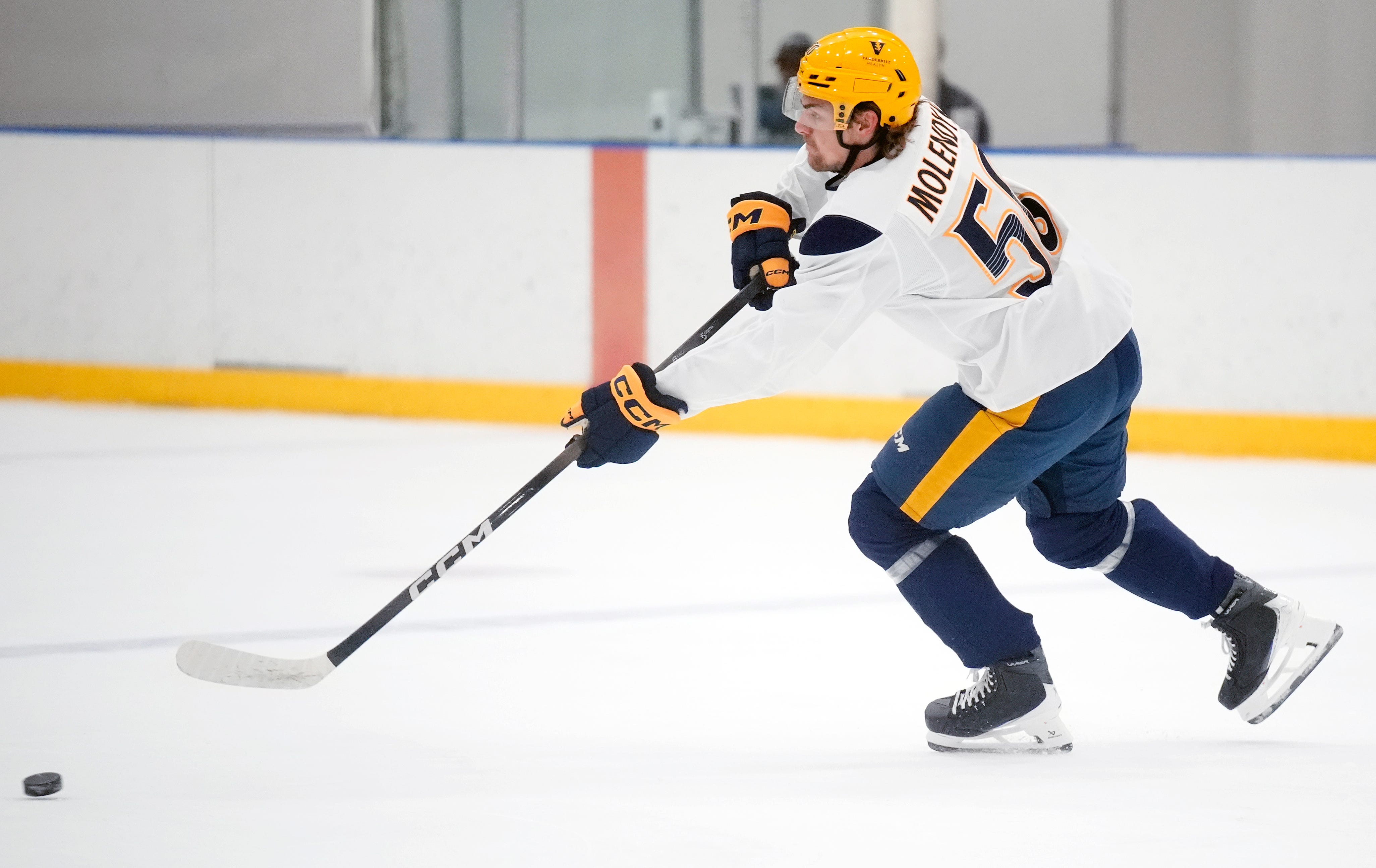 Tanner Molendyk, Cameron Reid injured as Nashville Predators open ...