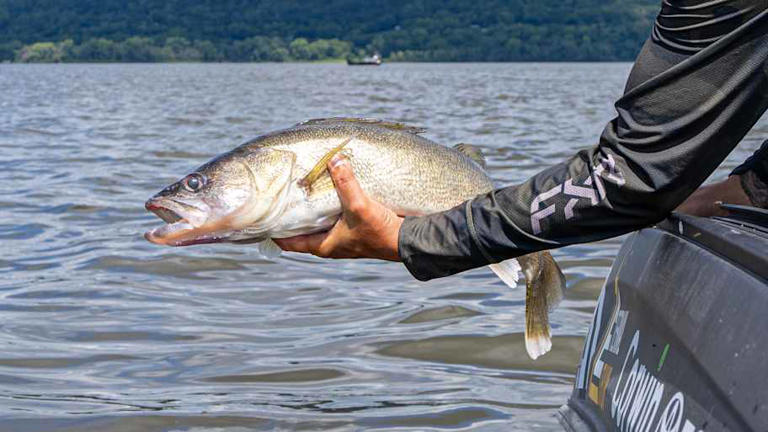 The Giant Walleye Playbook: Late-Summer Tips to Catch Trophy Fish