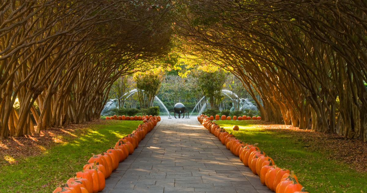 18 Fall Festivals in America That You Need to Add to Your Fall Bucket List