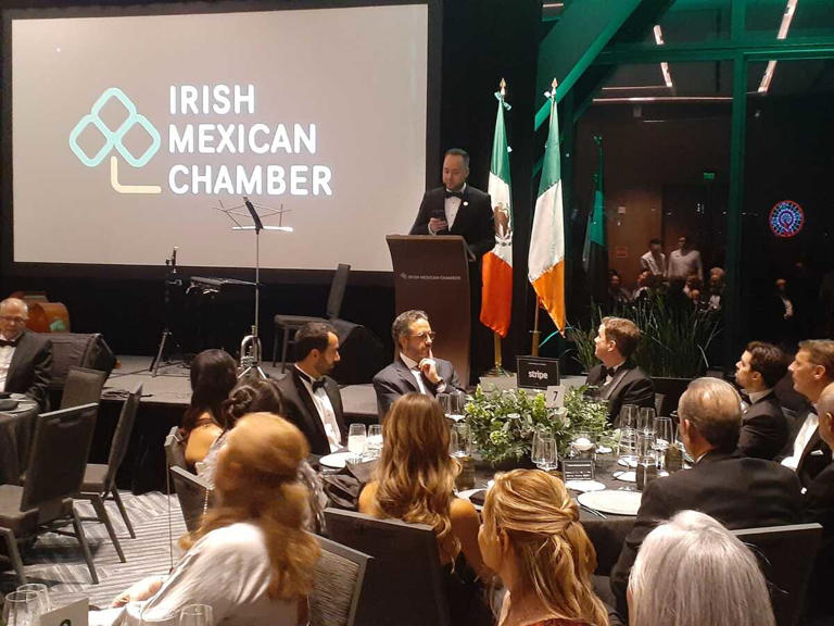 Irlandeses ofrecen a México alianzas más allá de los negocios