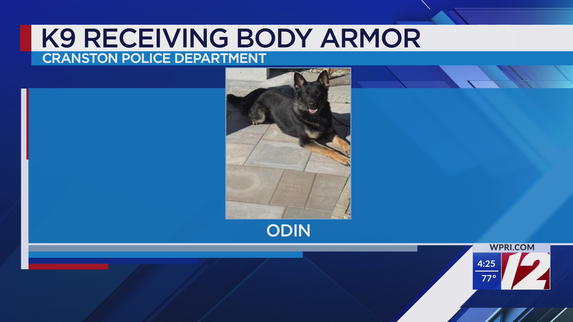 Cranston Police K9 receiving body armor