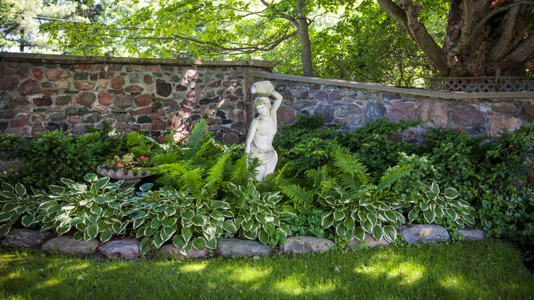17 Fast-Growing Shade Plants That Will Effortlessly Fill Your Garden ...