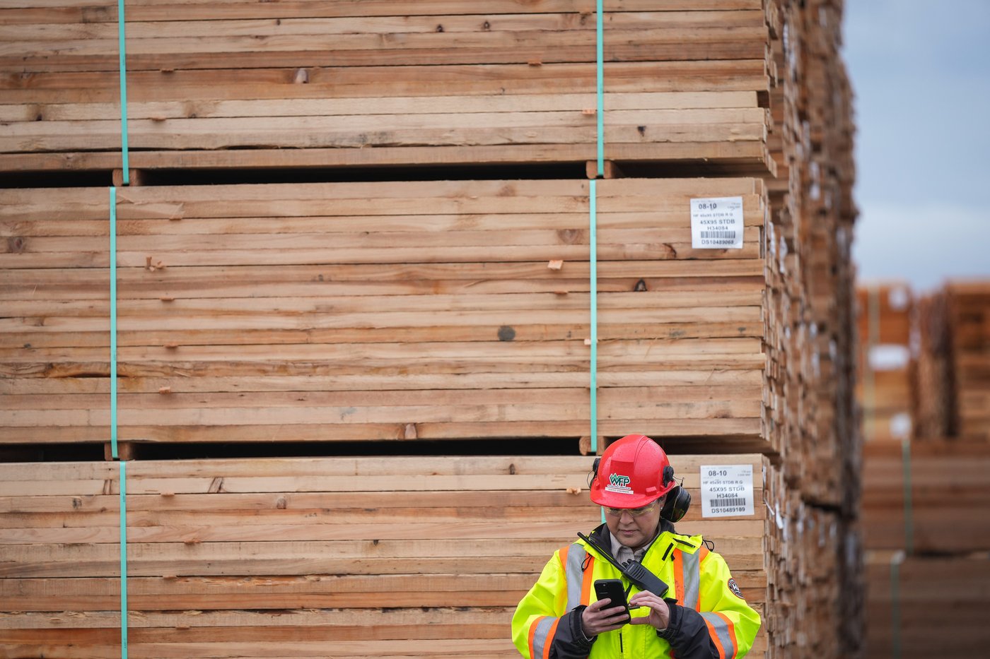 Une Première Nation en C.-B. veut mettre fin à un blocus forestier sur ...
