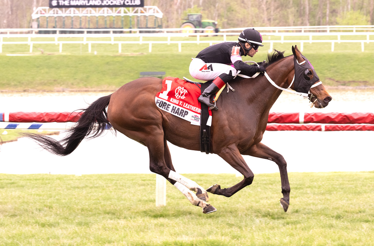 Fore Harp Competes Against Full Brother Smooth B In Laurel Dash Stakes
