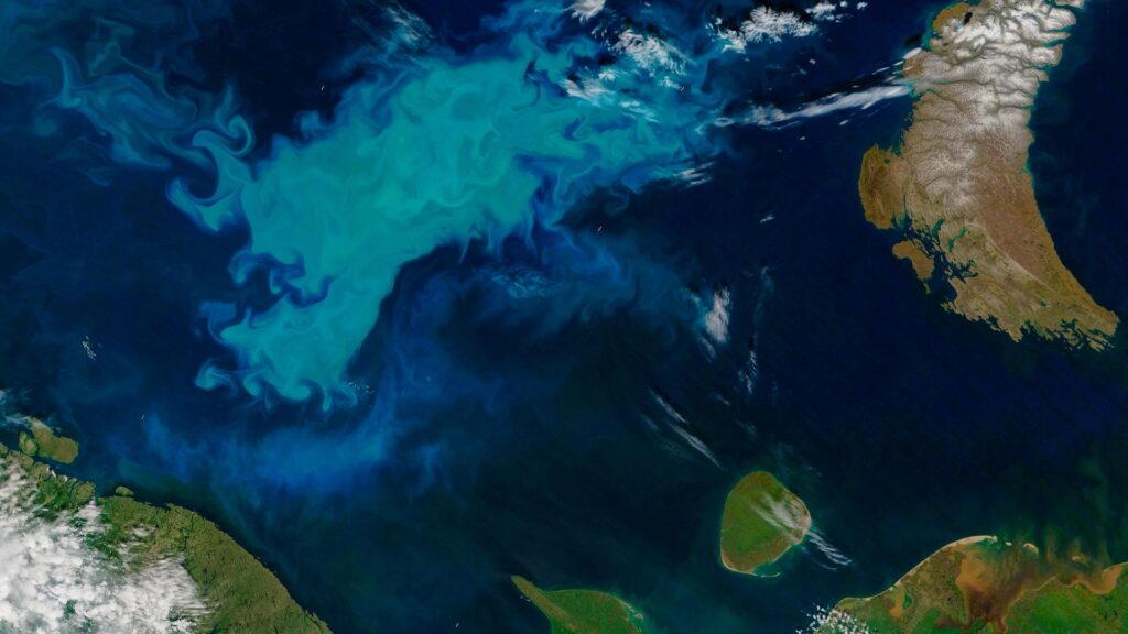 The Ocean is Changing Color and Researchers are Worried