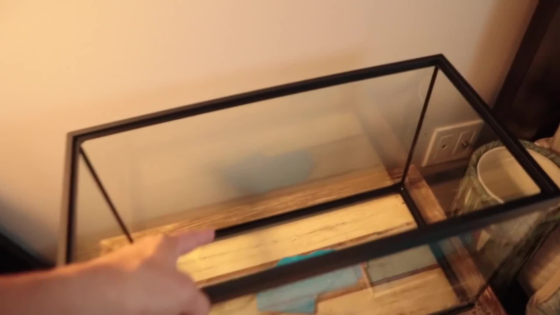 Surprising my sister with her dream pet!