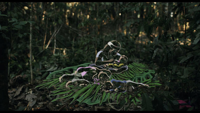 ‘Lost in the Jungle’ Review: A Crash’s Aftermath on National Geographic