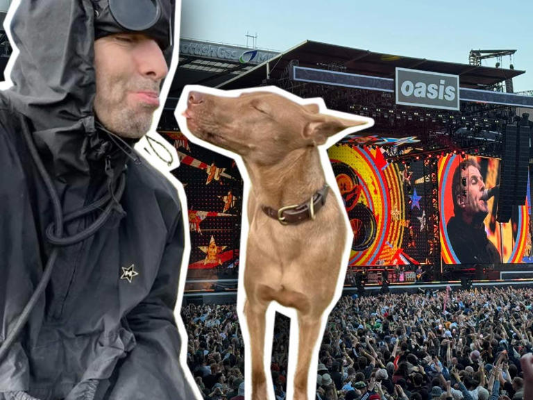 Buttons: la perrita que Liam Gallagher adoptó y que hoy aparece en los ...