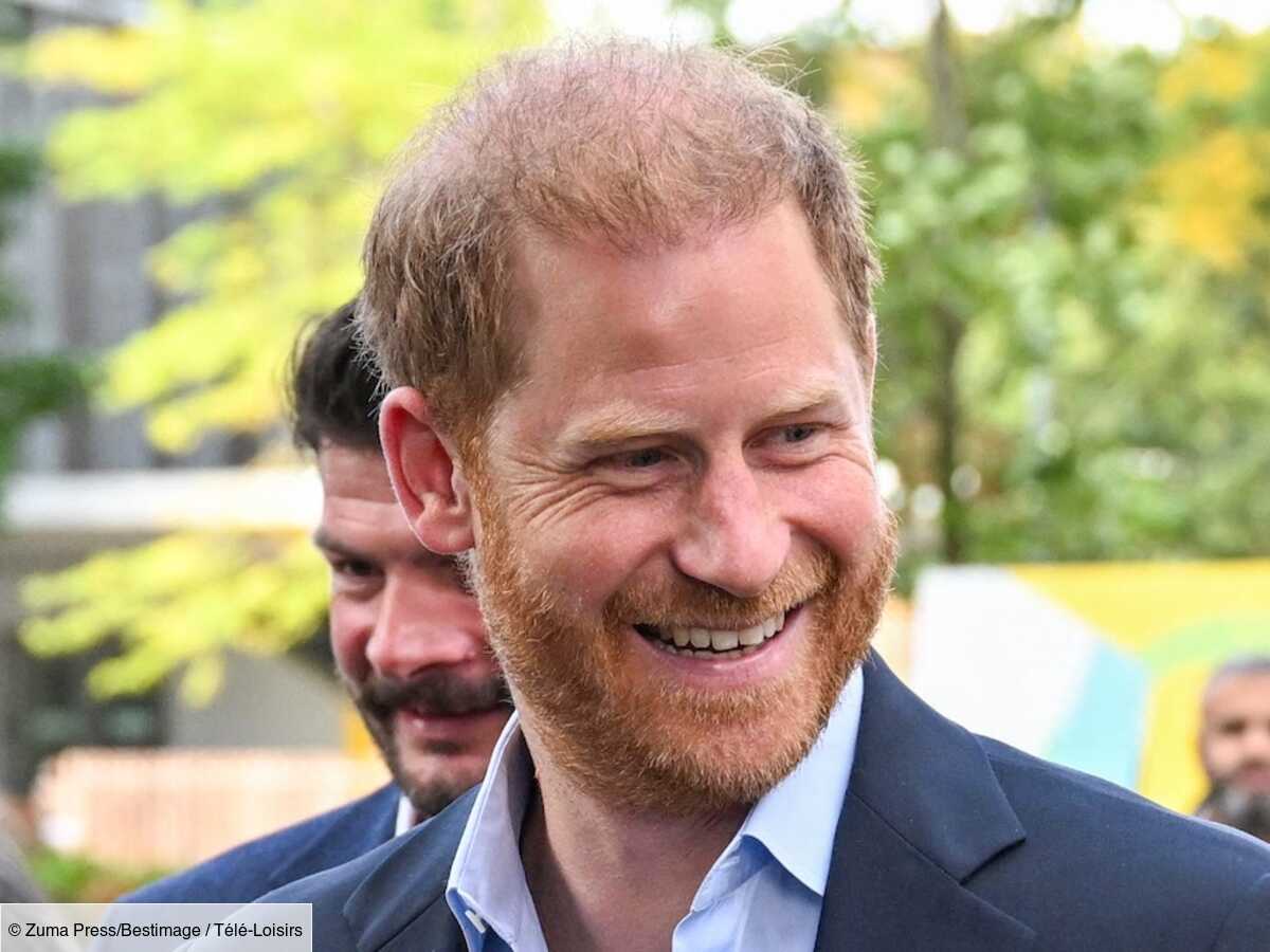 "Il a visiblement adoré " : Le prince Harry ravi de son séjour à ...