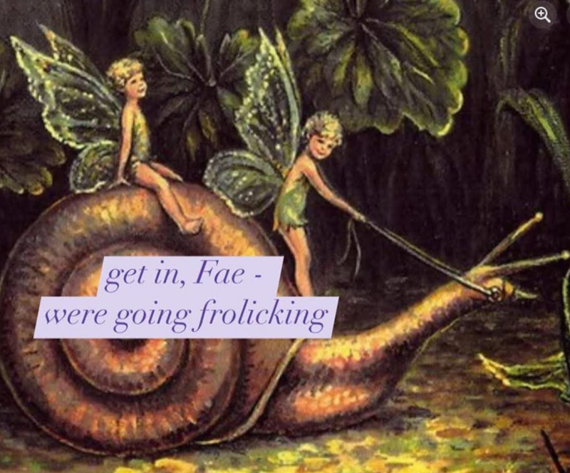 30 Wholesome Plant Memes For Botany Enthusiasts Wishing They Were ...