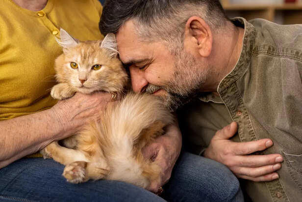 Cat Owners Will Agree: We Don’t Own Them, They Own Us!
