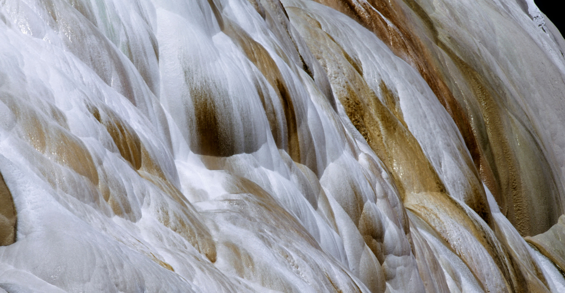 Why is the Earth’s core leaking gold?