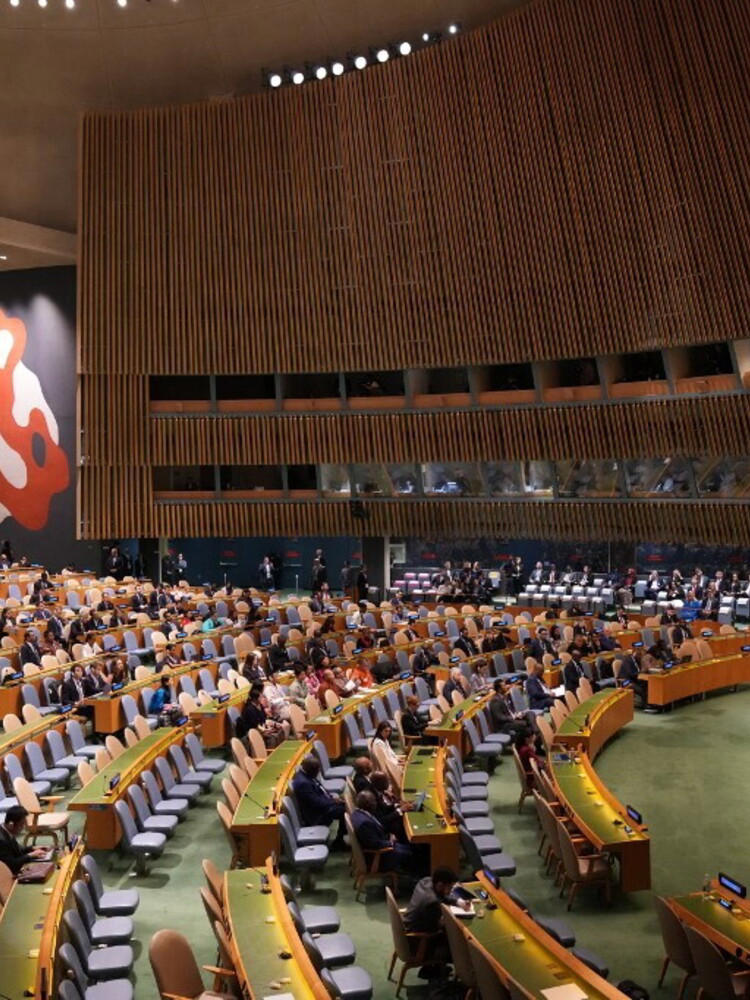 Oggi il voto dell'Assemblea generale dell'Onu sullo Stato palestinese