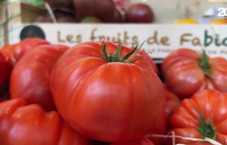 Qu'est-ce que tu food - Teaser