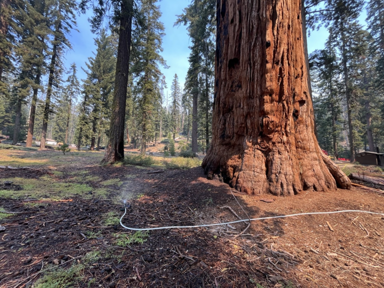 Fire crews guard giant sequoias against Garnet Fire