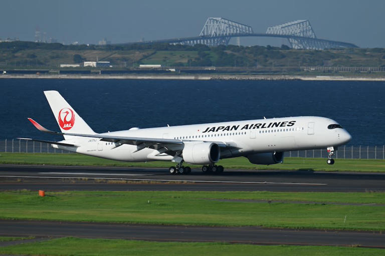 JAL、国内線2往復搭乗で2,000マイル 18歳〜29歳限定